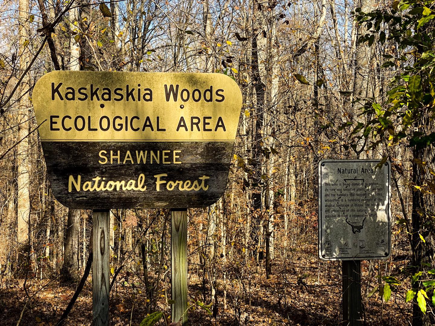 Kaskaskia Experimental Forest