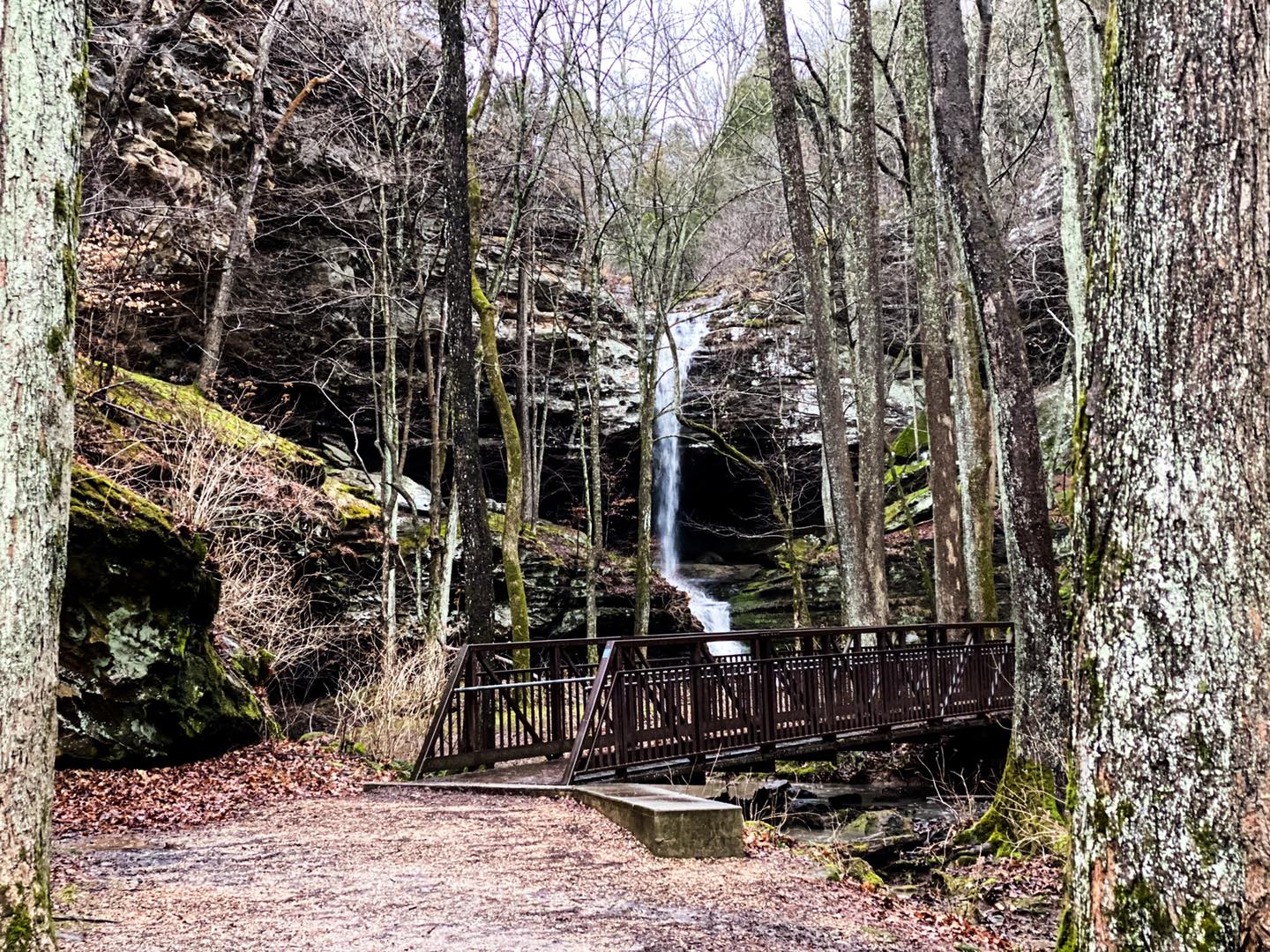 Ferne Clyffe State Park Guide