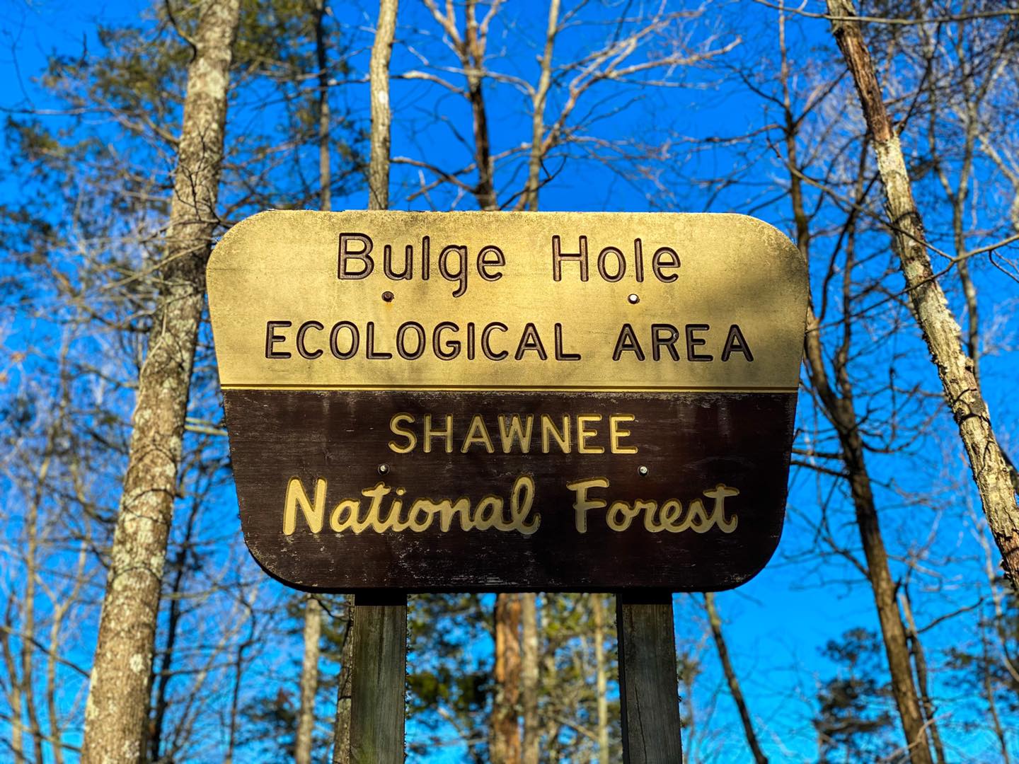 Bulge Hole Ecological Area Guide - Shawnee National Forest
