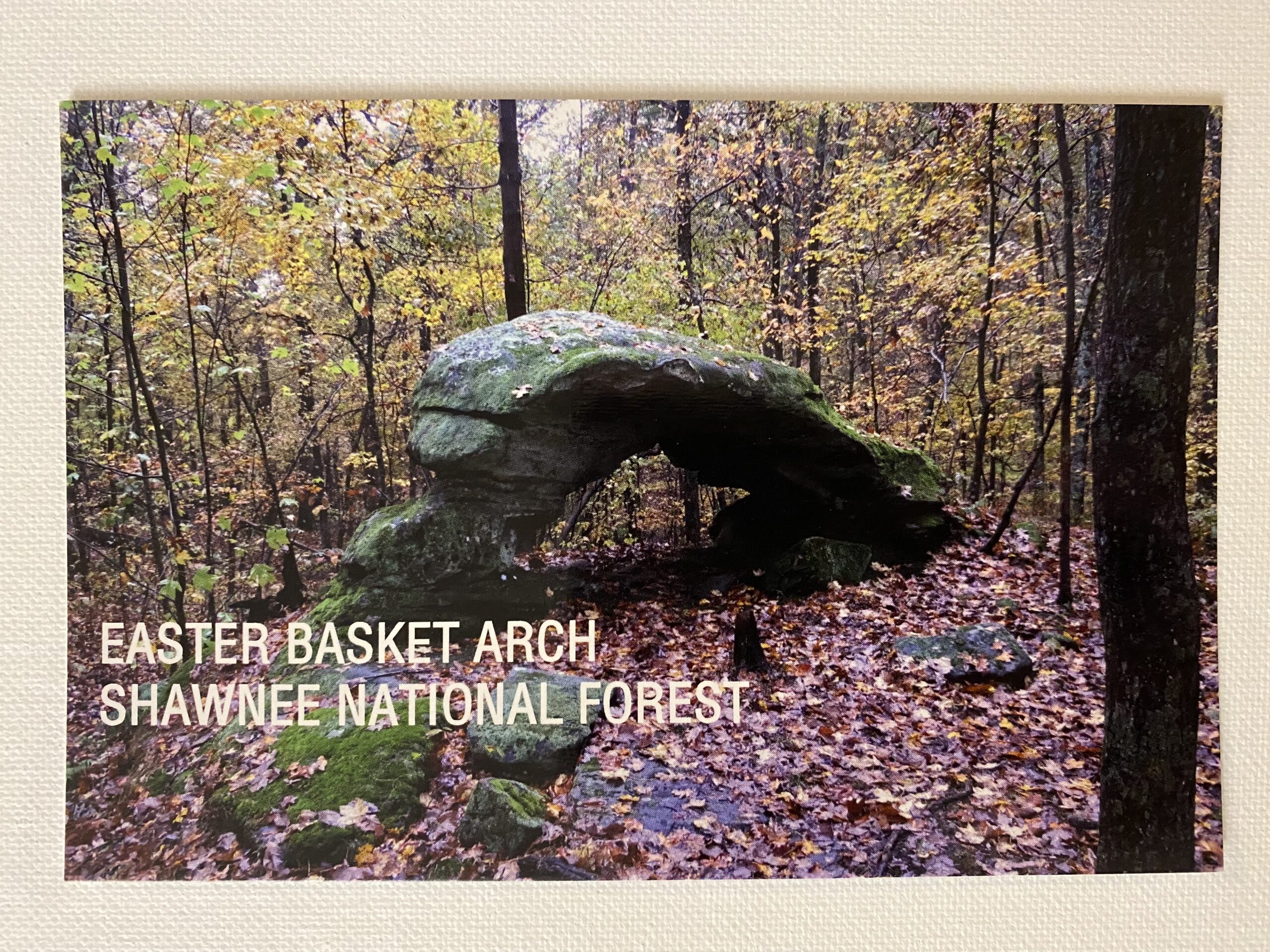 Hiking with Shawn - Shawnee National Forest