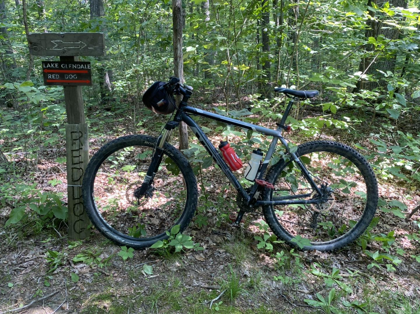How to Start Mountain Biking in the Shawnee National Forest