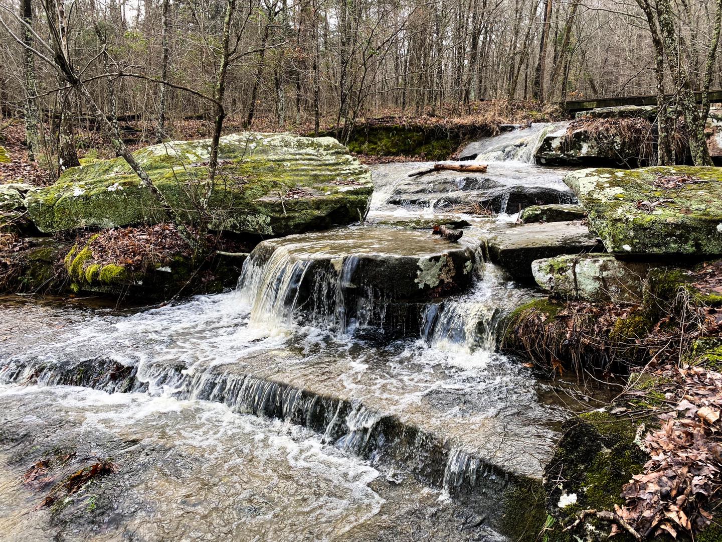 10 Great Things About the Shawnee National Forest