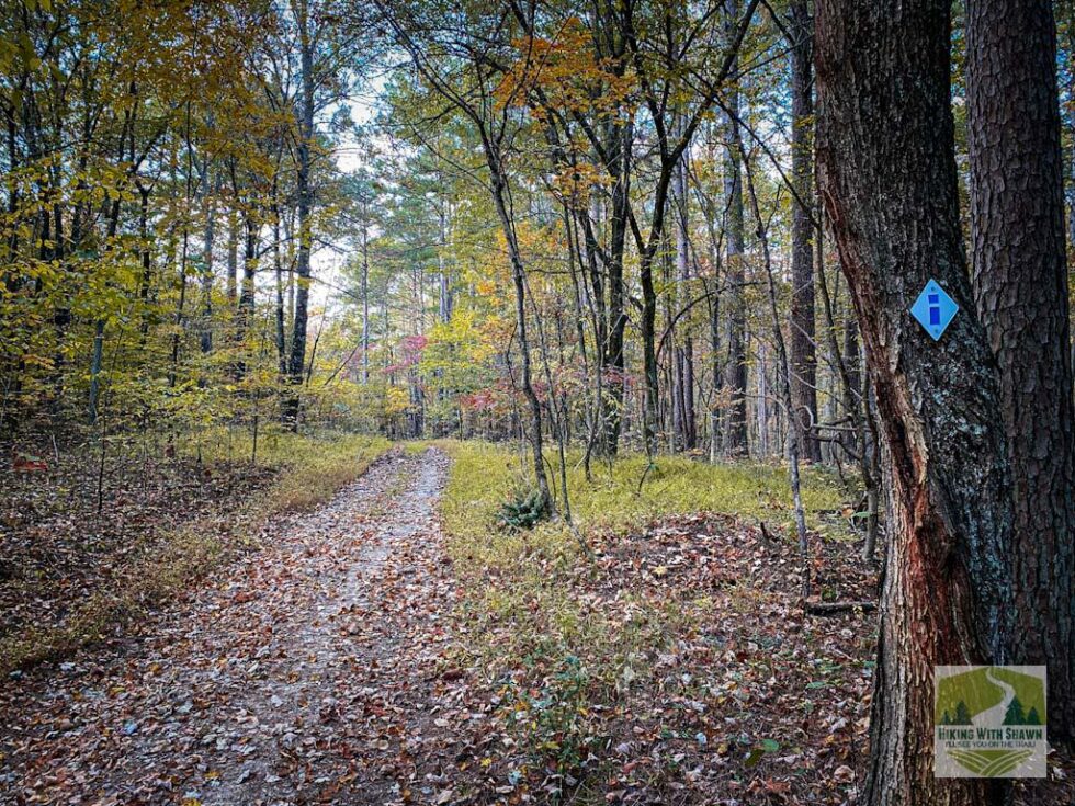 Different Types of Trails and Trail Difficulty Explained