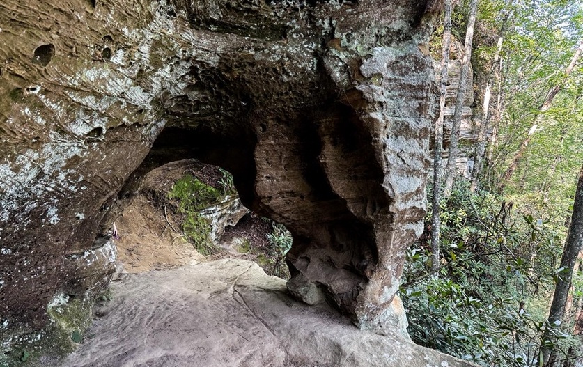 Koomer Ridge Campground Guide